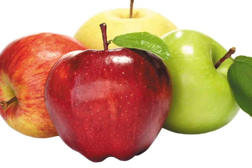 Ada di Air Hujan, Mikroplastik Juga Sudah Mencemari Buah dan Sayuran - Ruang Bibir